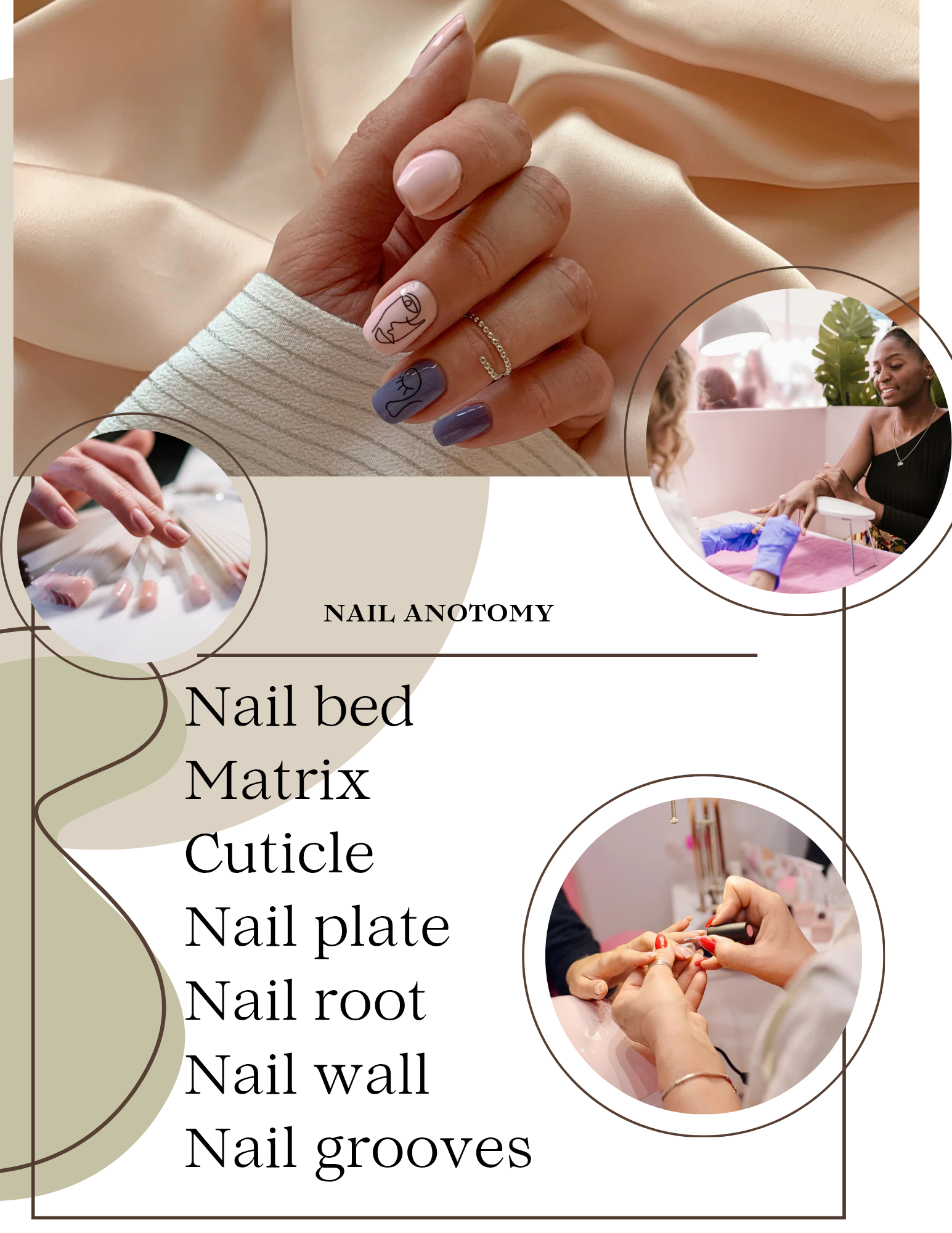NAIL NAIL ANATOMY scientific name -ONYX - Royal Make Over Studio